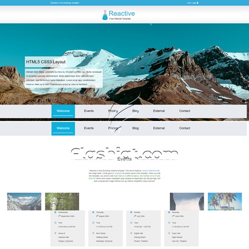 Reactive - Free HTML5 & CSS Template - Flashiat